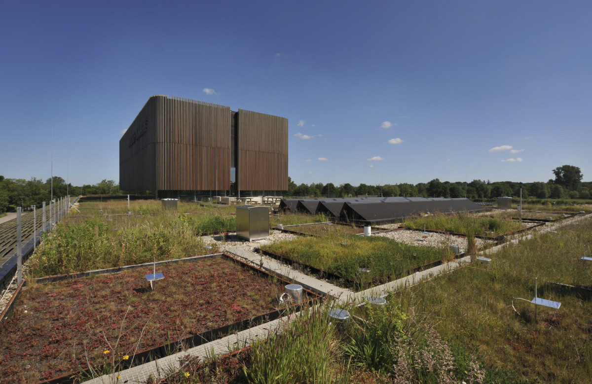 Green roof 2.0 | Netherlands Institute of Ecology (NIOO-KNAW)