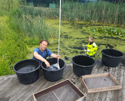 Aquatic Ecology | Netherlands Institute of Ecology (NIOO-KNAW)