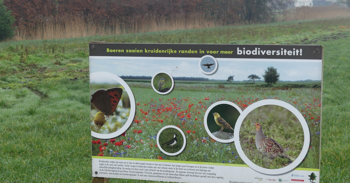 Nationwide approach to boosting knowledge of biodiversity in the ...