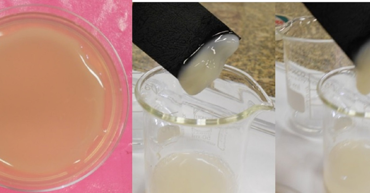 Physiological and ecological strategies of Acidobacteria | Netherlands ...