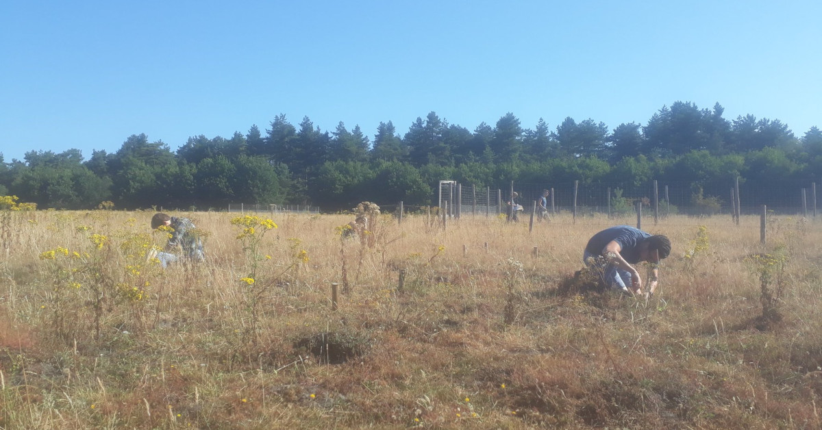 Nutrient Network (NutNet) | Netherlands Institute of Ecology (NIOO-KNAW)