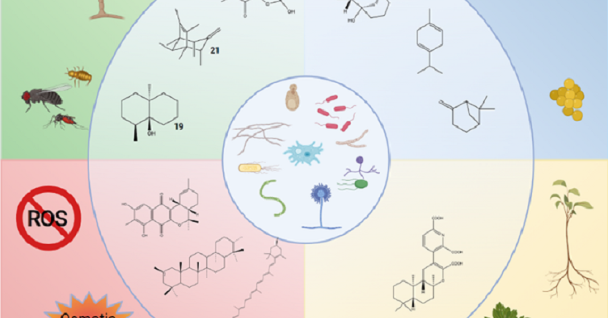Unravelling the ecological role of bacterial terpenes | Netherlands ...