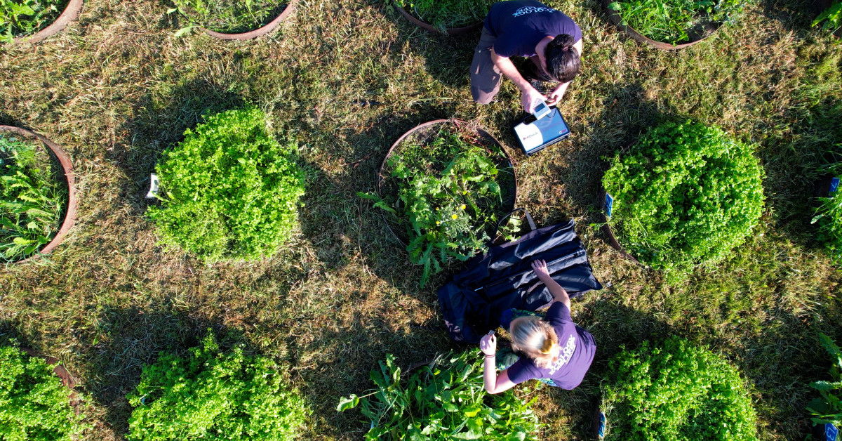 NIOO Theme Biodiversity | Netherlands Institute of Ecology (NIOO-KNAW)