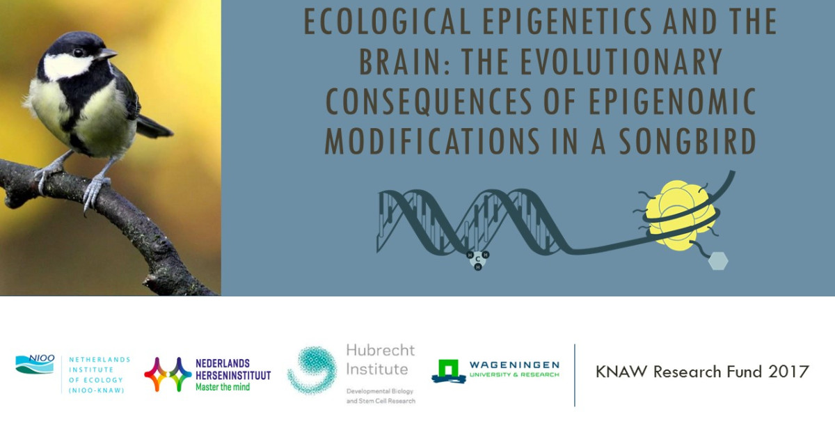 Ecological epigenetics and the brain: the evolutionary consequences of ...