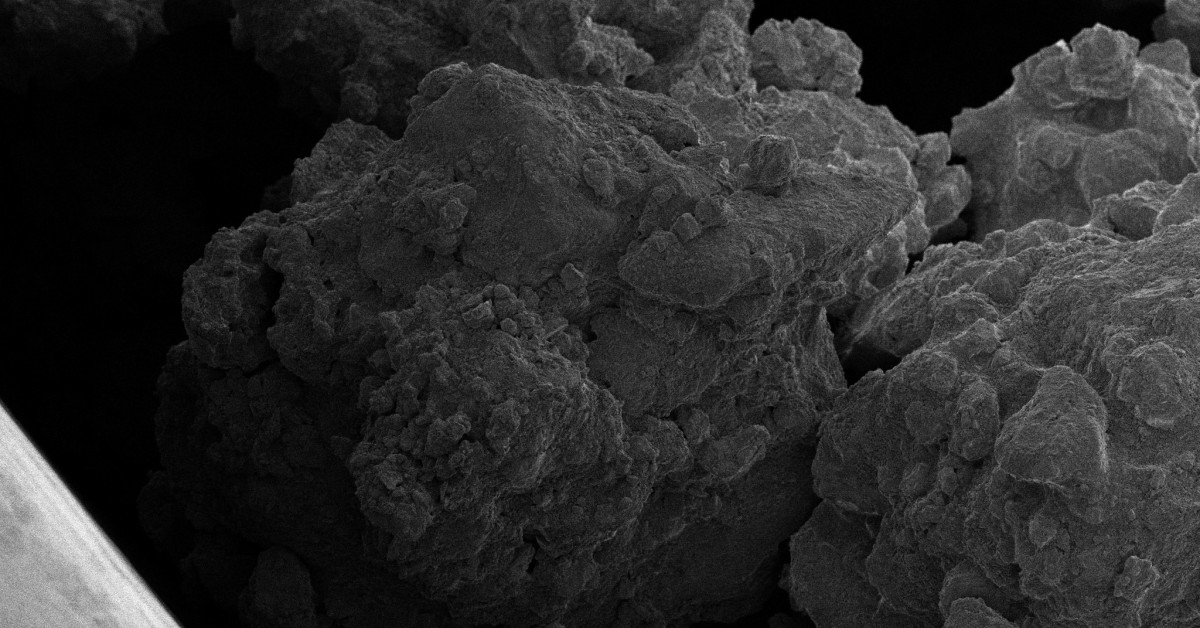 The role of beneficial microbe in soil aggregation | Netherlands ...