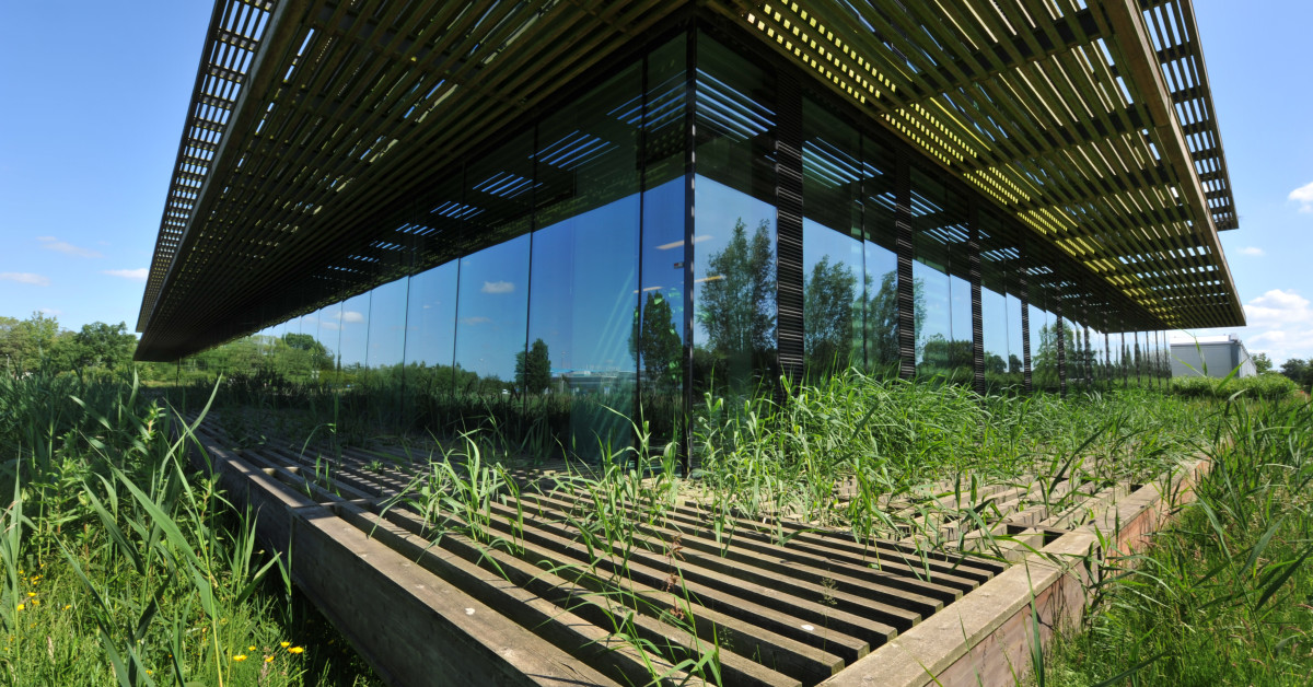 Licht welkom | Nederlands Instituut voor Ecologie (NIOO-KNAW)