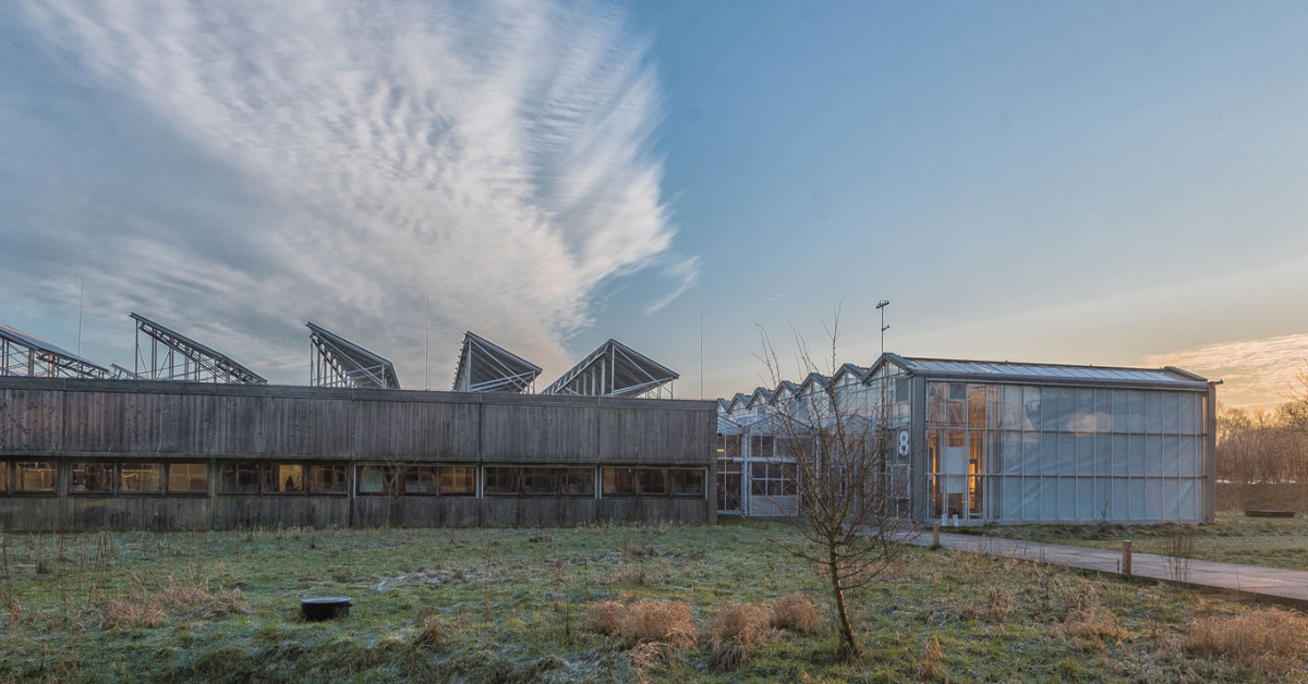BioClock | Netherlands Institute of Ecology (NIOO-KNAW)