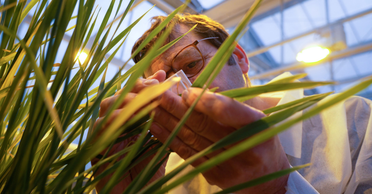 NIOO Theme Sustainable use of land and water | Netherlands Institute of ...