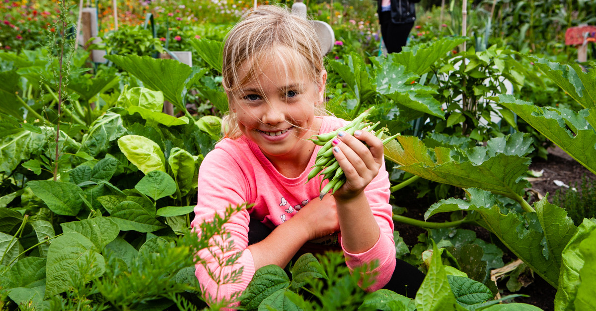 Onder het Maaiveld Junior: een magisch ondergronds avontuur ...
