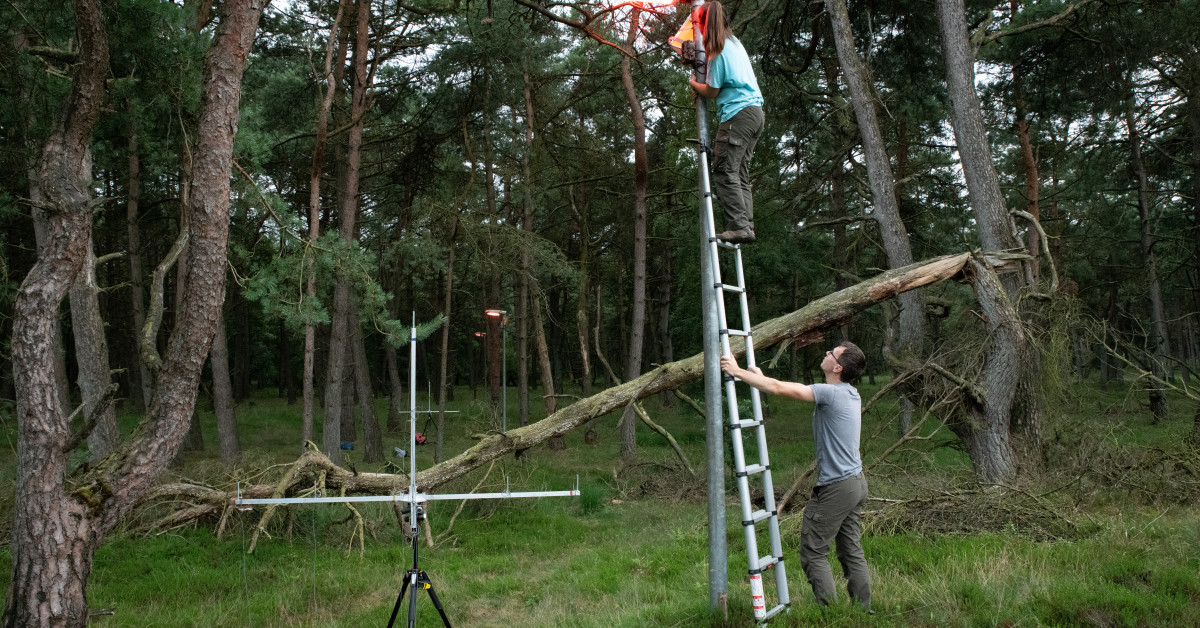 Natuur in het licht – waarom het donker belangrijk is | Nederlands ...